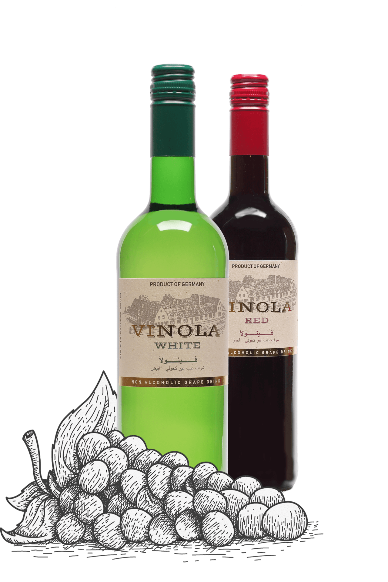 Home - Vinola